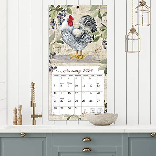 WSBL Roosters 2024 12X12 Wall Calendar (24997001691) – Hens on Oxney