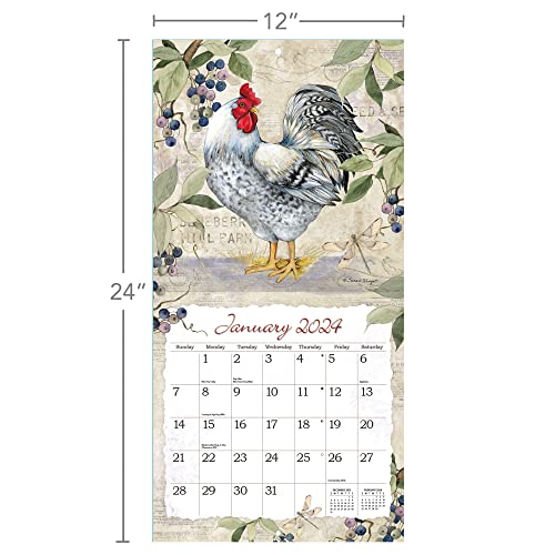 WSBL Roosters 2024 12X12 Wall Calendar (24997001691) – Hens on Oxney